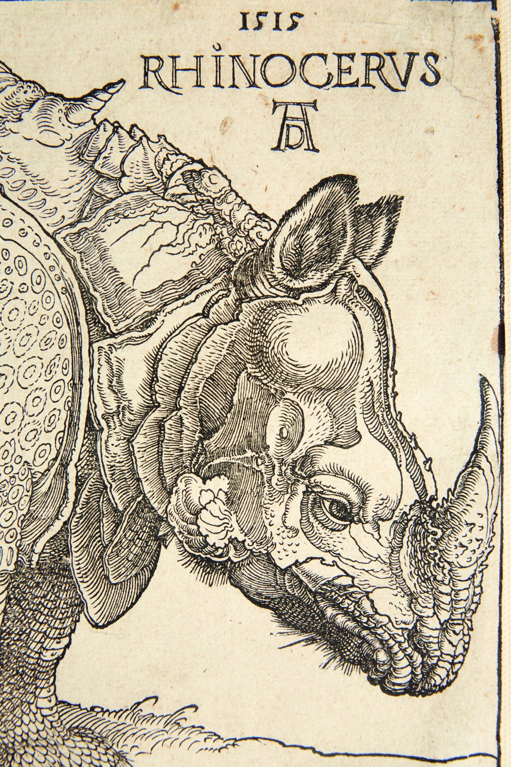 Albrecht Dürer's The Rhinoceros Could Fetch $18,000 at Freeman's ...
